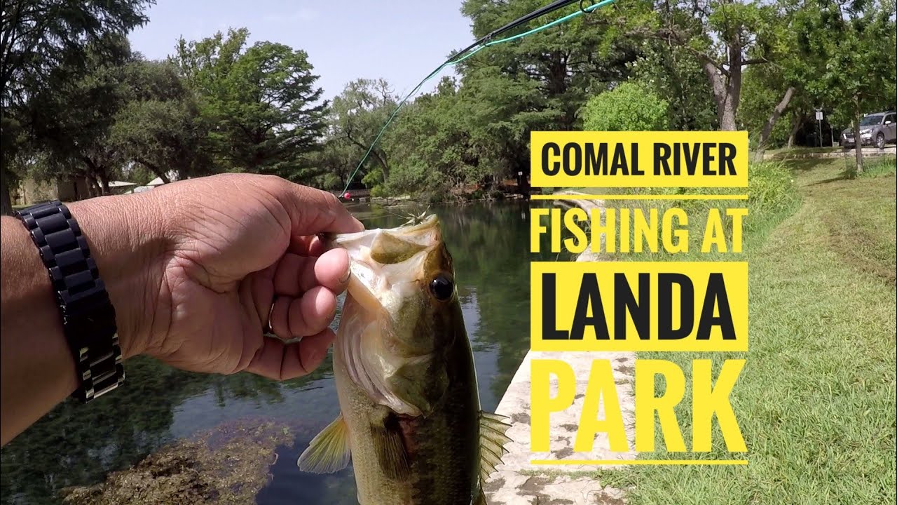 Fishing the Comal River at Landa Park - YouTube