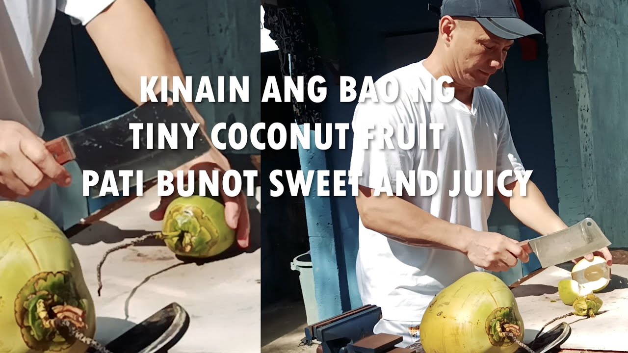 Eating Tiny Coconut Fruit w/ Coconut Shell┃Sip Sweet Juicy Coconut ...