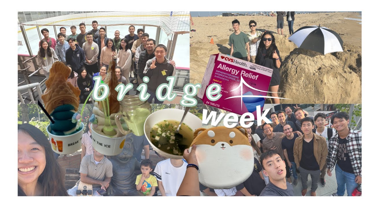 bridge week minus the bridge🌞 | ucr house move-in, orientation week, hanging out :) - YouTube