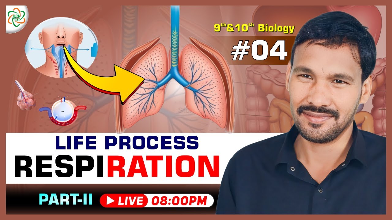 Human Respiratory System class10| Part-II | life processes class10 biology | respiration in ...