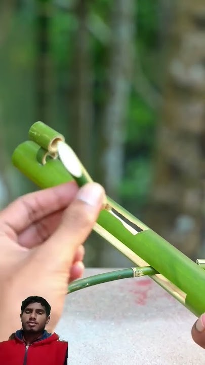 Bamboo Creations with Bamboo stick Slingshots #Diy #Bamboo #Slingshots #Bambooart - YouTube