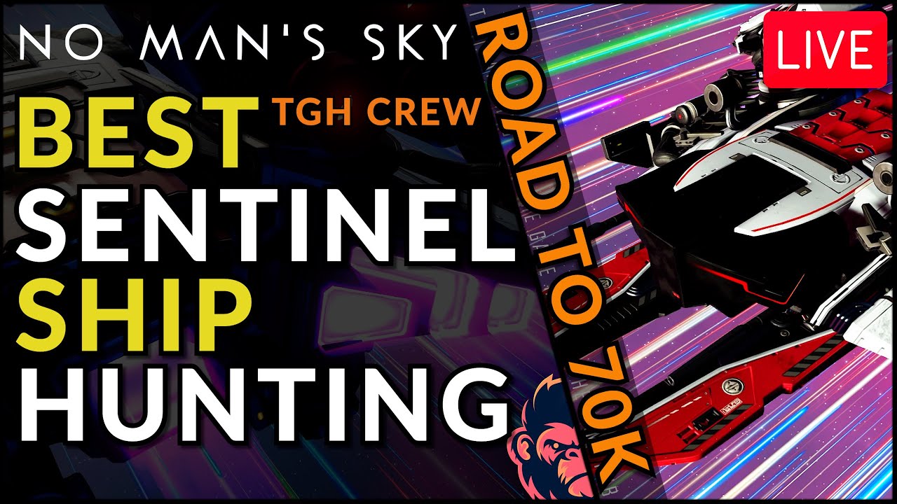 Get READY for the BEST Sentinel Ship Locations in No Man's Sky! - ROAD ...