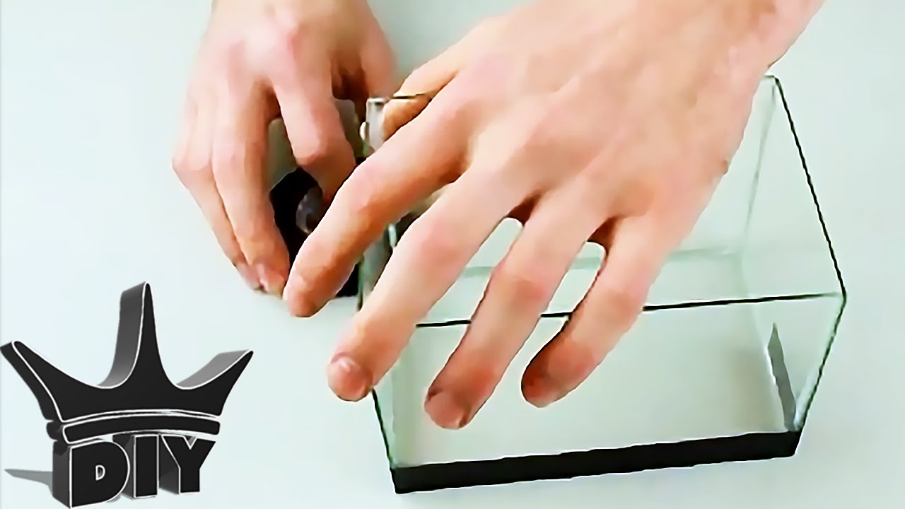 HOW TO: DIY aquarium coral, plant and fish VIEWER - YouTube