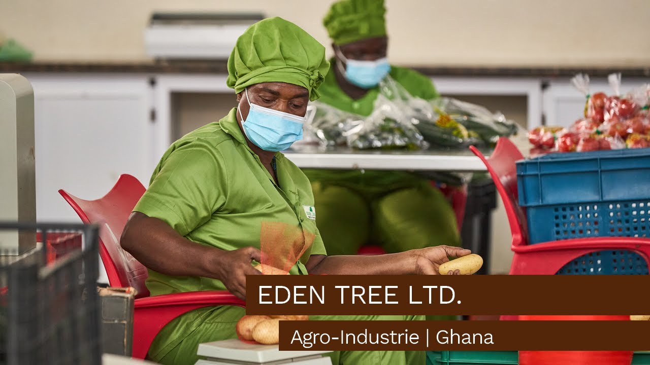 Eden Tree : une PME engagée dans le secteur agro au Ghana - YouTube