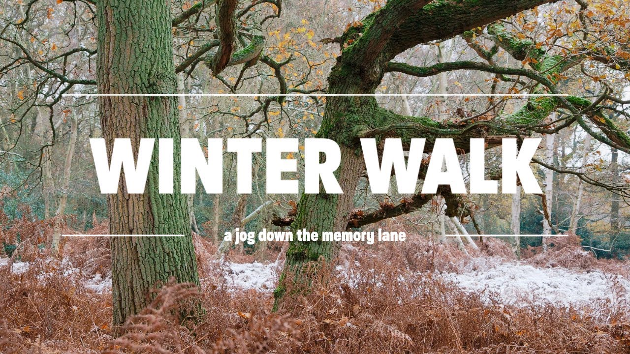 Winter Walk - a simple walk in the local woodland and a jog down the ...