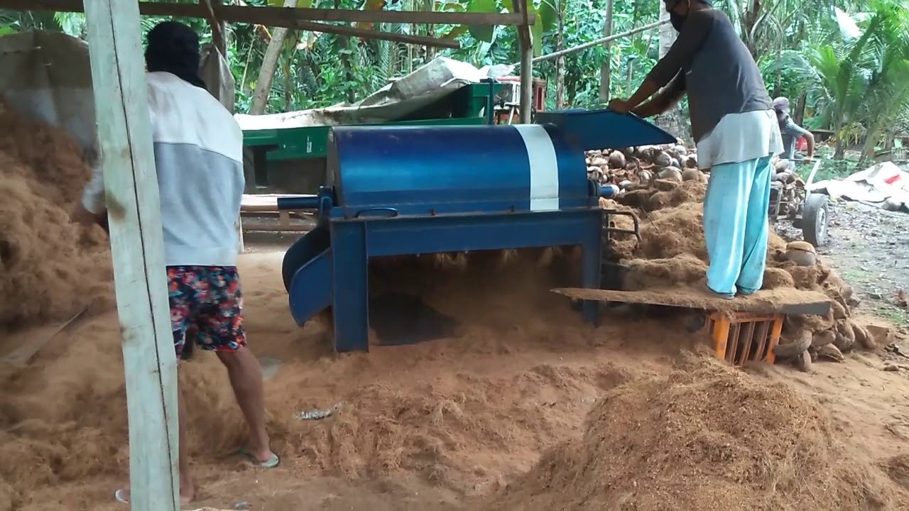 DECORTICATING MACHINE OPERATION 2 - YouTube