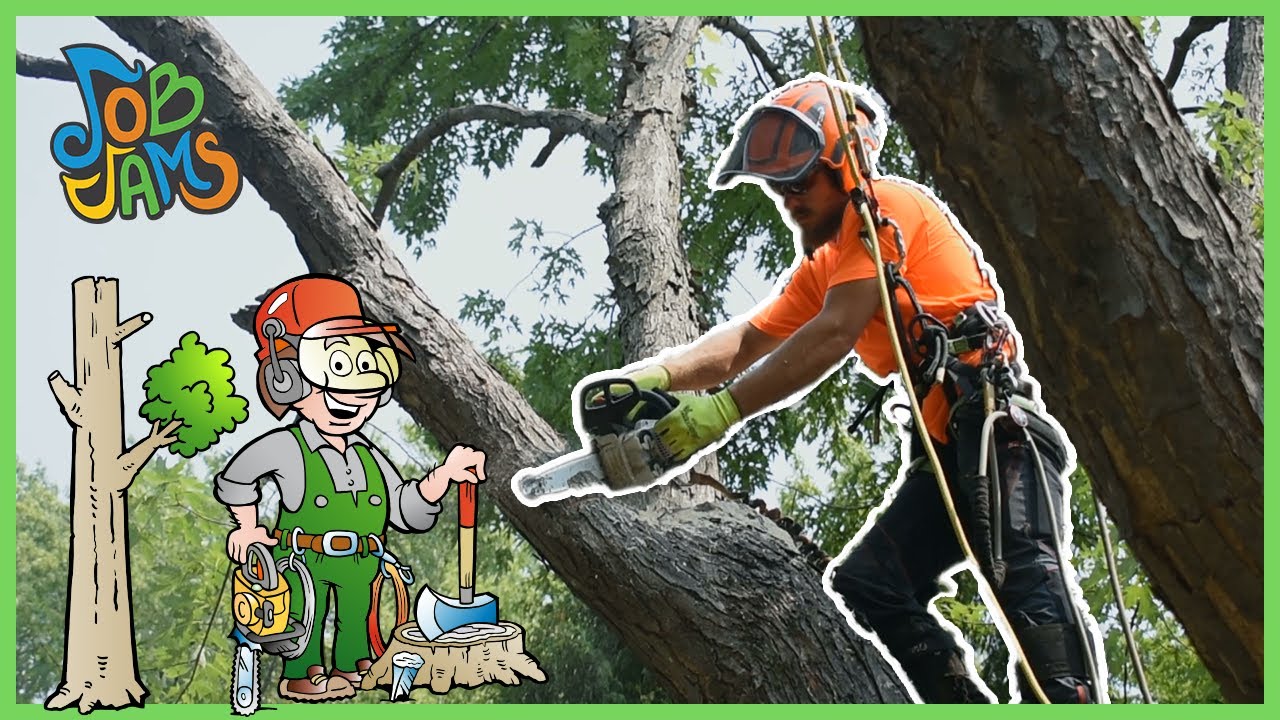 Tree Climbers Cut Down BIG TREE | Job Jams | Saws, Cranes, Skid Steers ...
