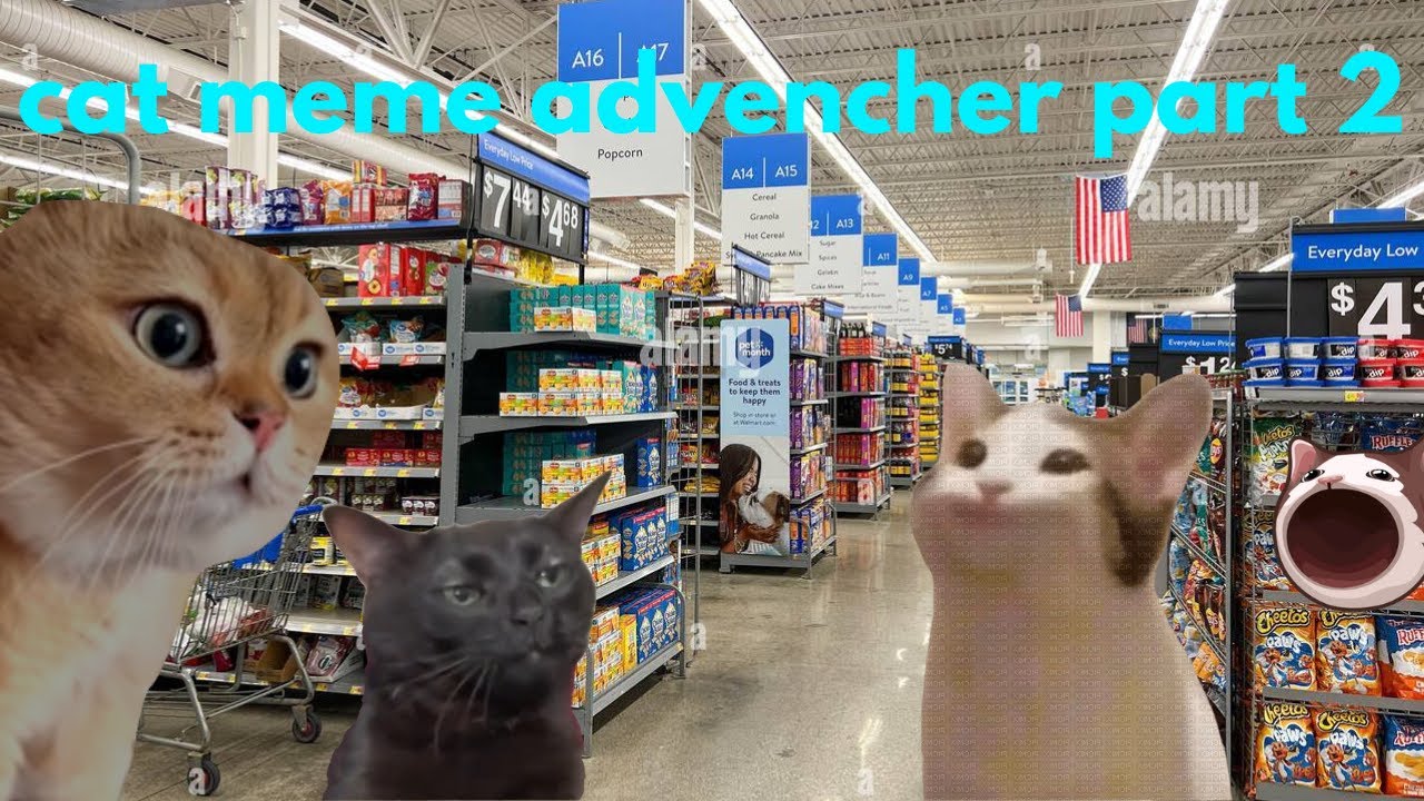 Cat Meme Adventure Part 2 - YouTube