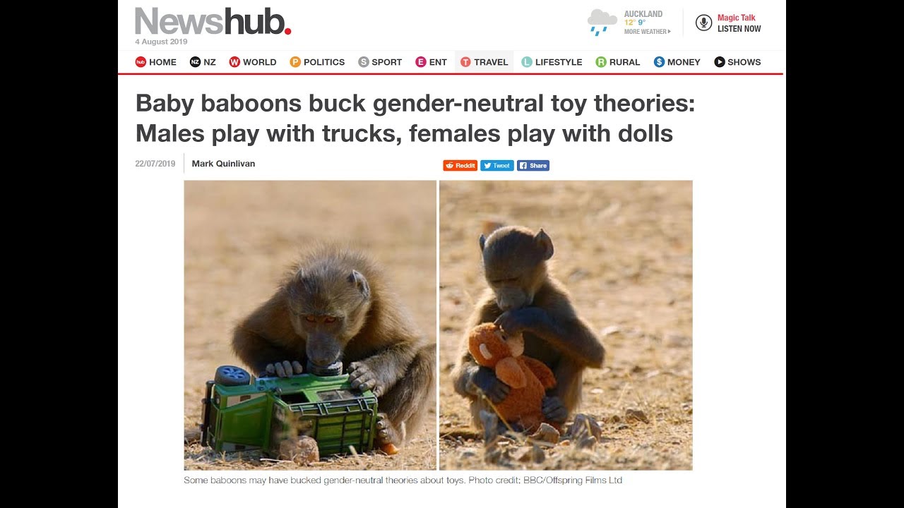 BBC Documentary: Baboons show sex differences in toy preferences ...