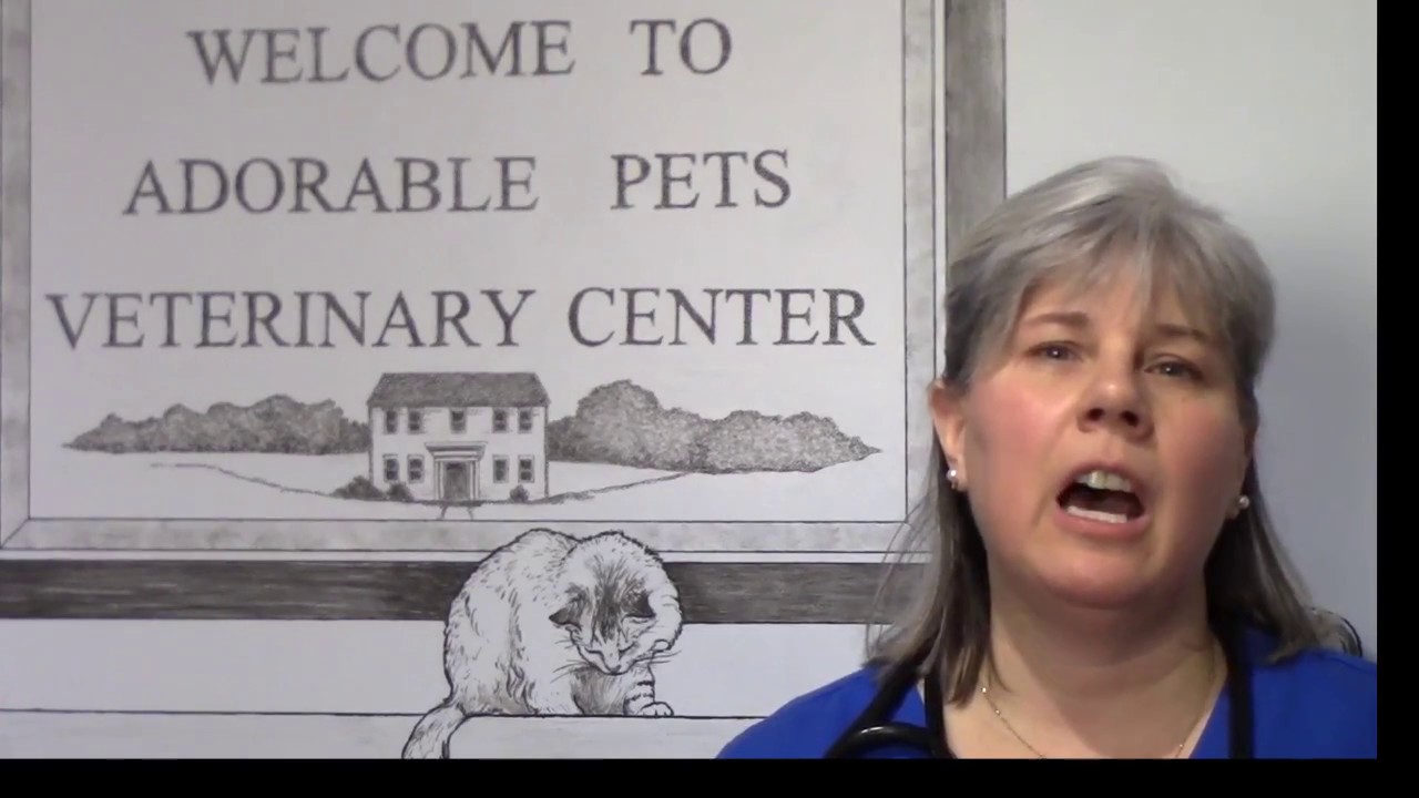 APVC Overview Video - YouTube