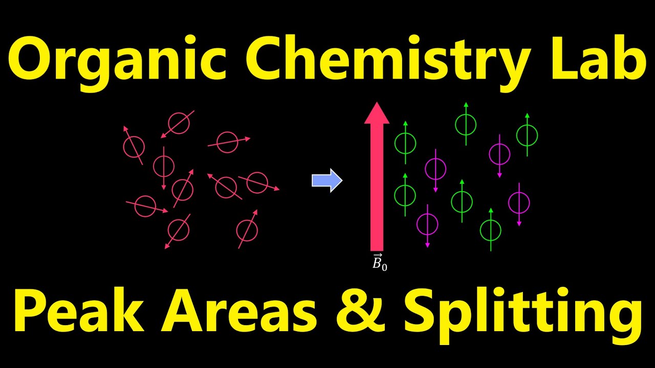 Spin-Spin Splitting (¹HNMR) | Organic Chemistry Lab Techniques - YouTube