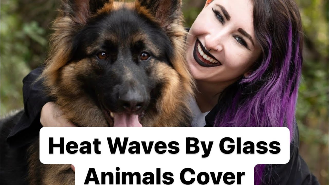 Heat Waves By Glass Animals Cover - YouTube