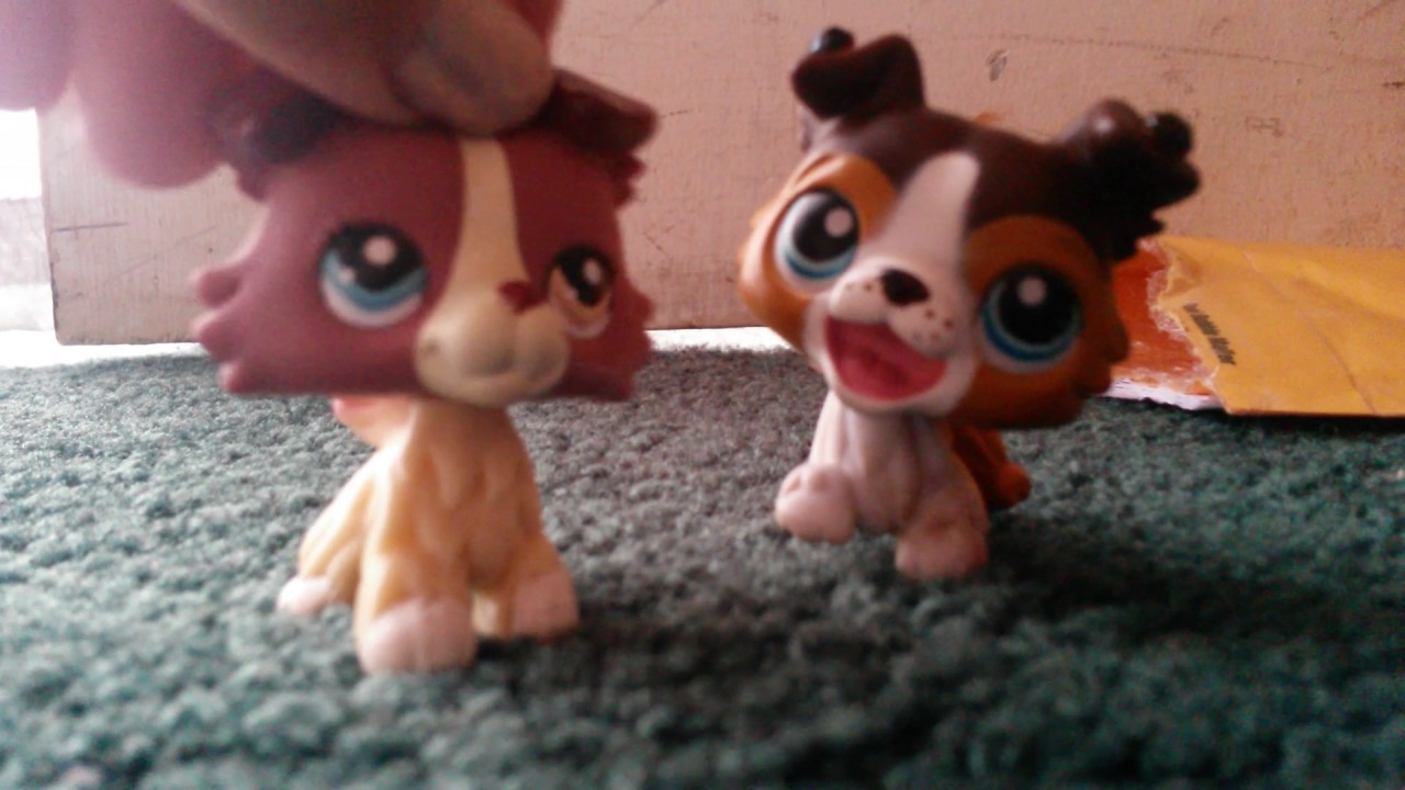 EBAY PACKAGE OPENING|MY NEW MASCOT|Collie #1262 - YouTube
