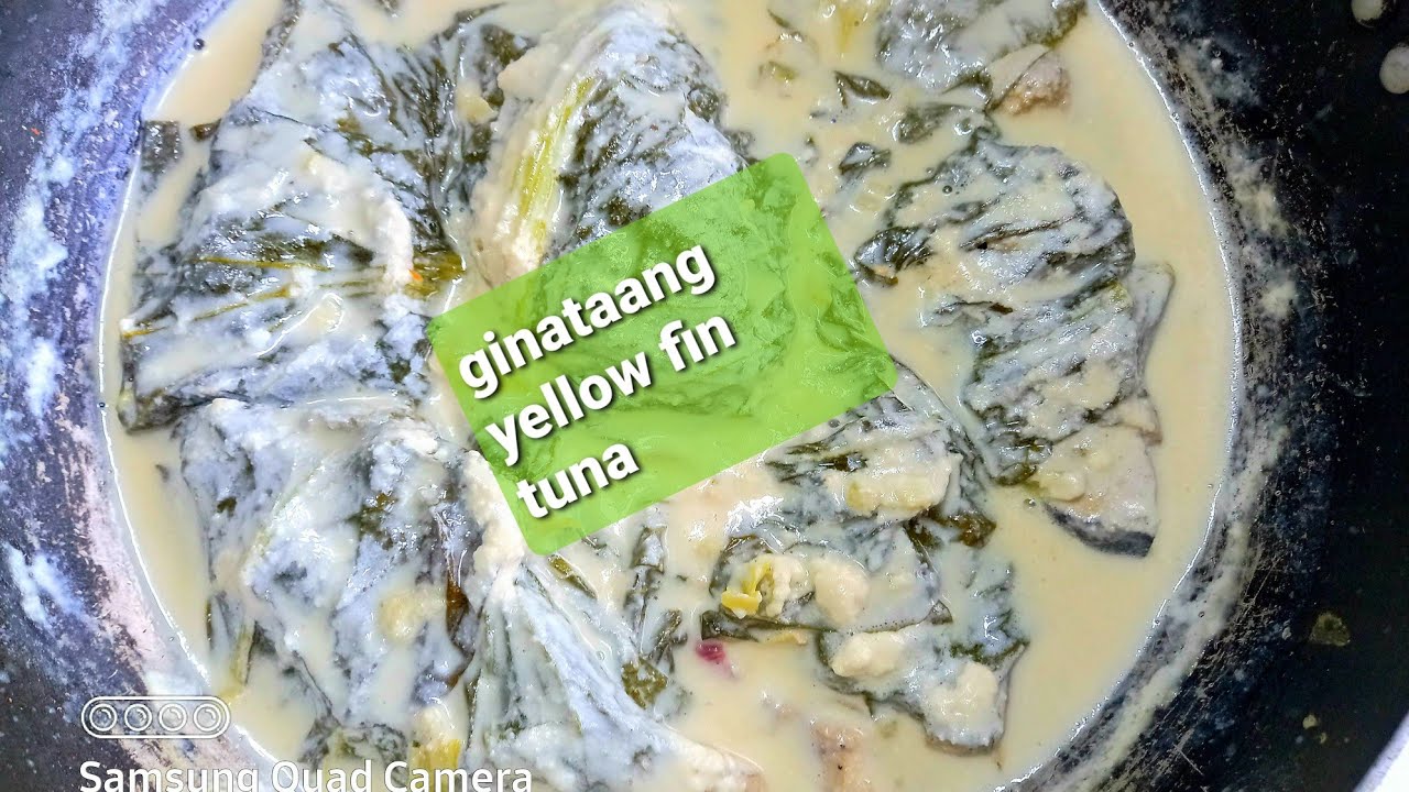 GINATAANG YELLOW FIN TUNA #panlasangpinoy #lutongbahay #cooking - YouTube
