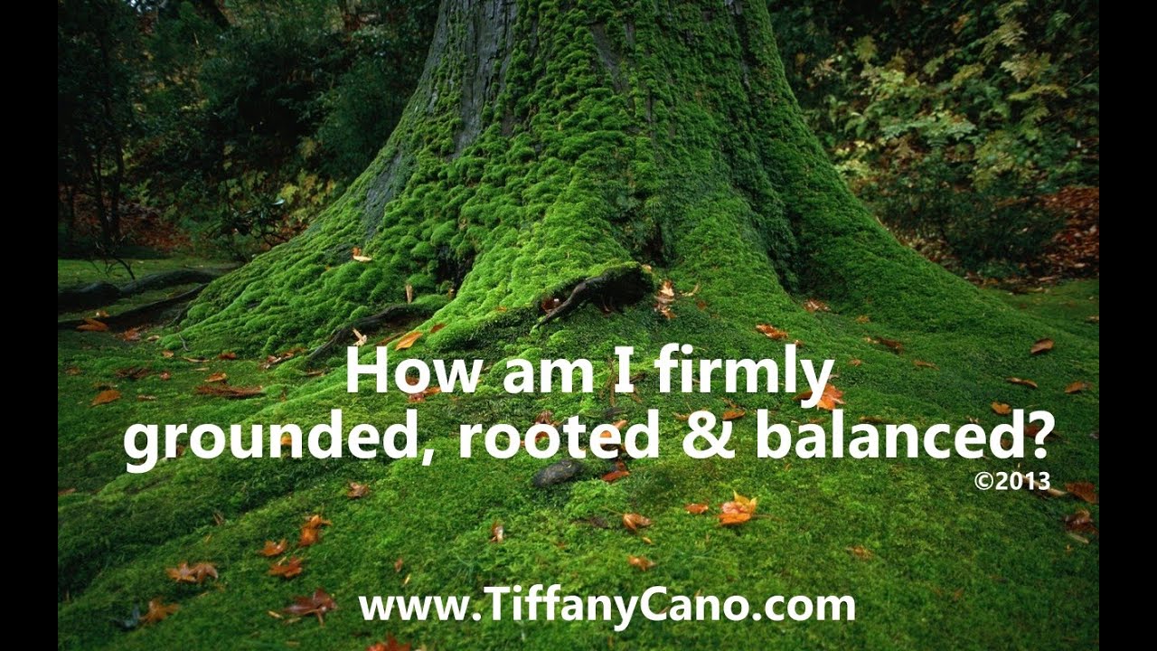 How am I Firmly Grounded & Rooted? - YouTube