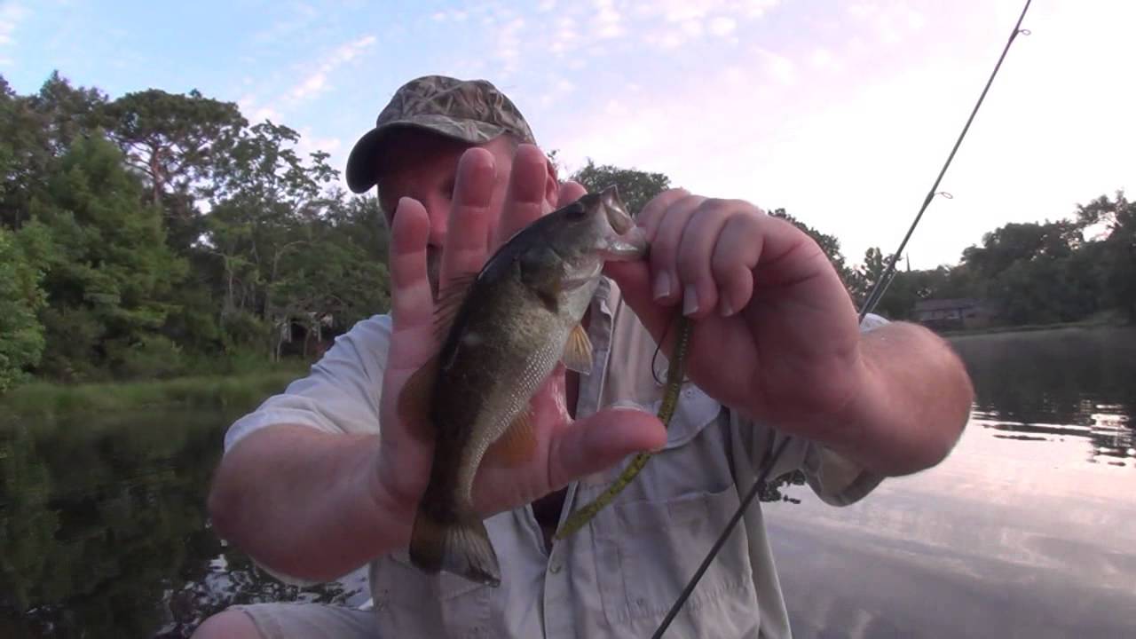 Fishing with Beer - YouTube