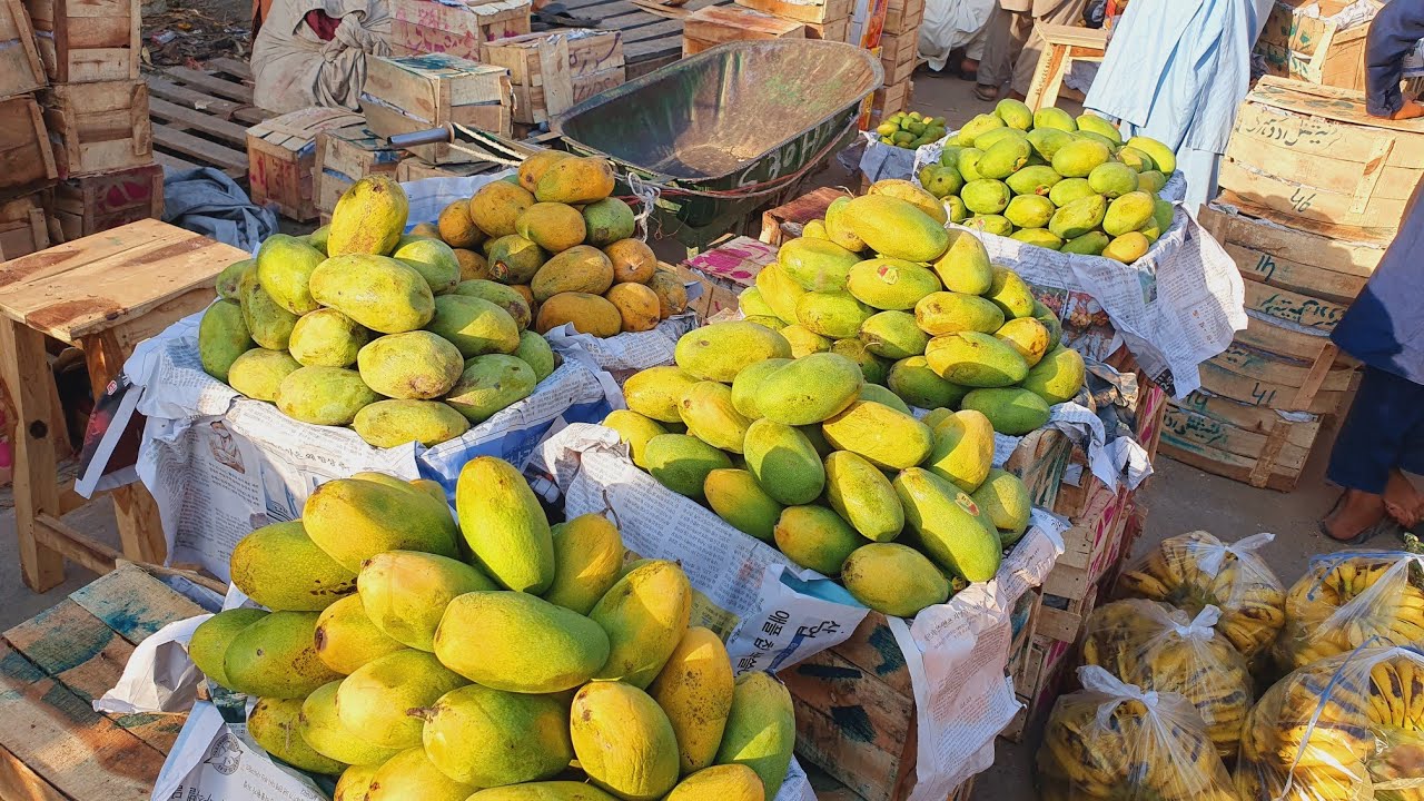 Premium export Quality White chonsa | Pakistani Special Quality mango ...