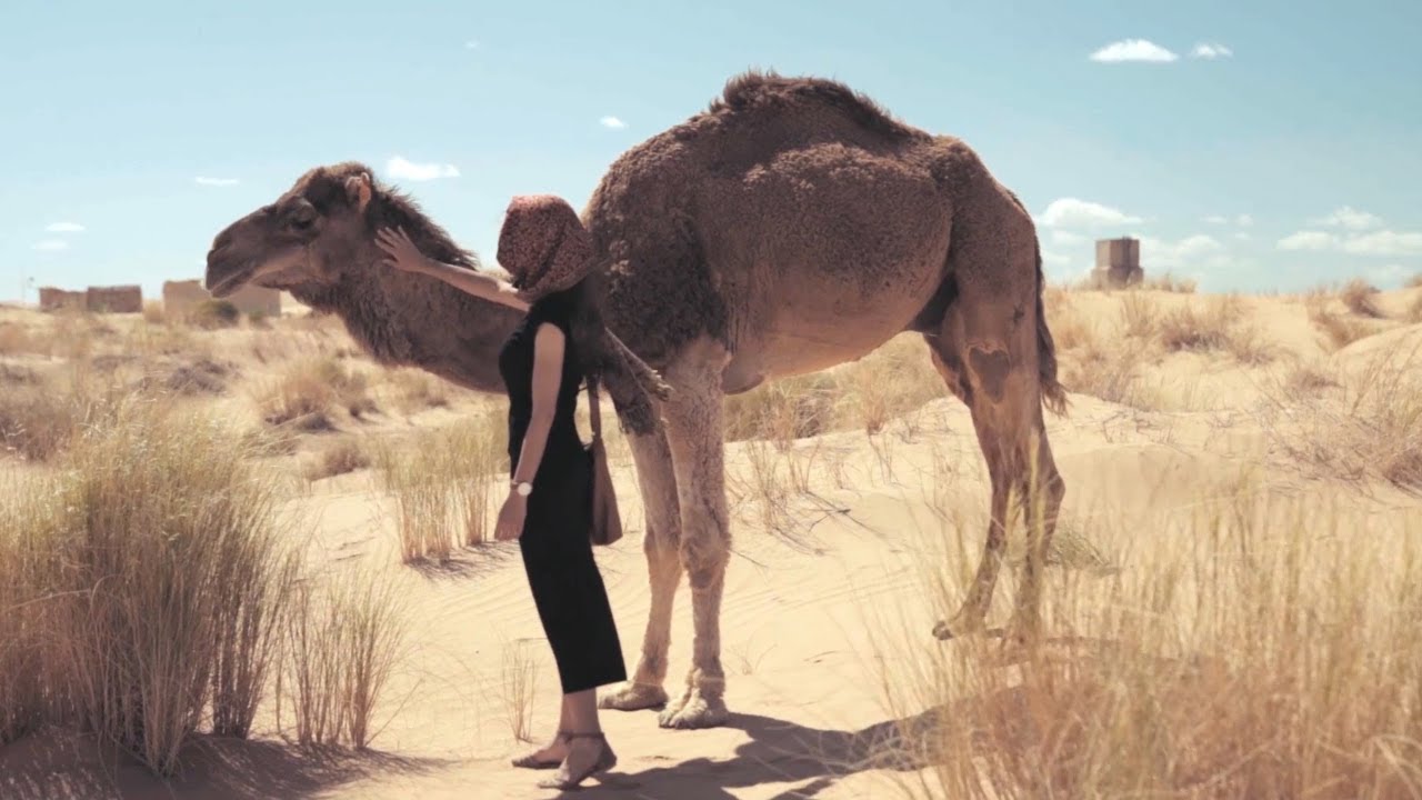 Beautiful desert montage video - YouTube