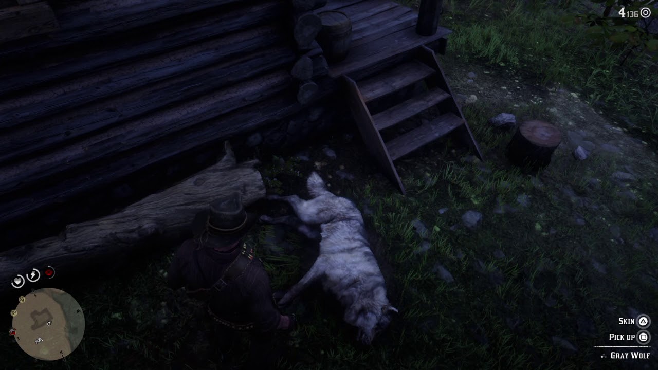 Red Dead Redemption 2 wolf attack - YouTube