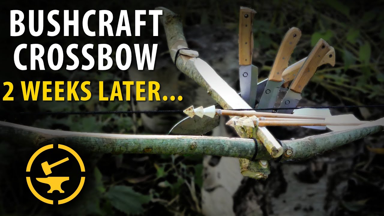BUSH CRAFT 2 weeks later - YouTube