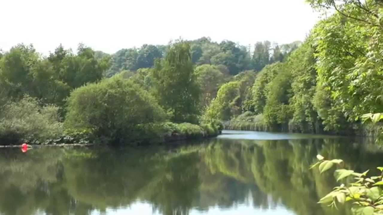 Ruhraue-Ruhr bei Essen Steele-Naturlandschaft! - YouTube
