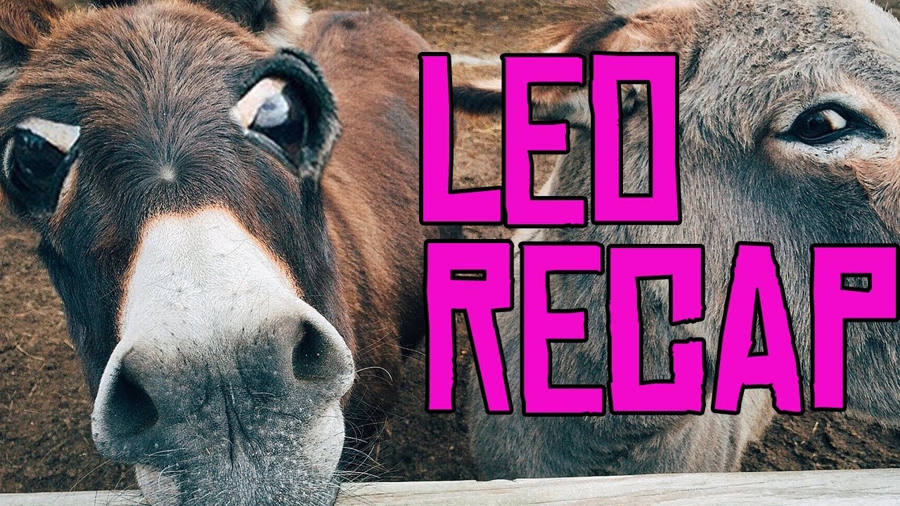 Animal diddlers, fax machine jailbreak, and I'm quitting youtube to ...