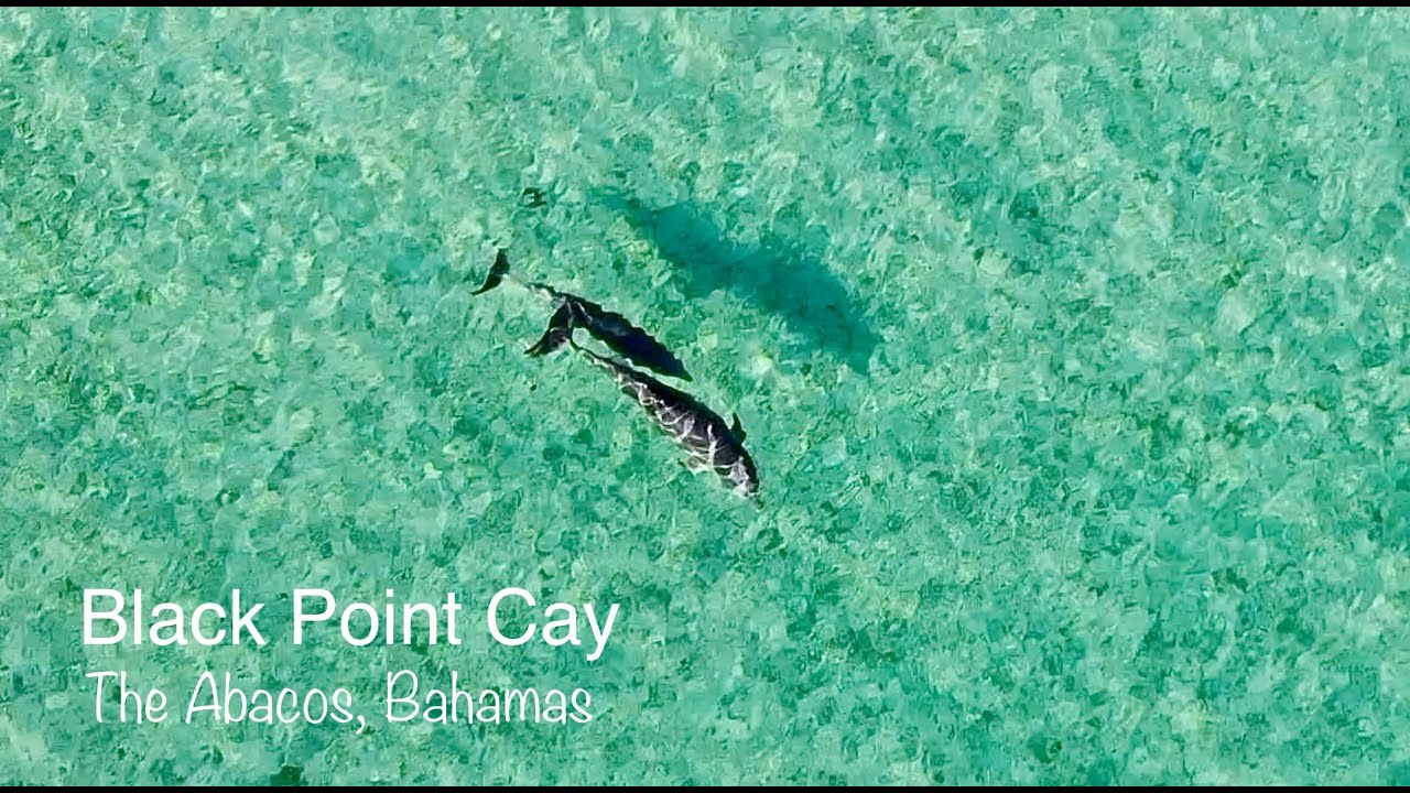 Great Loop #79 Tilloo Cay to Black Point Cay - YouTube