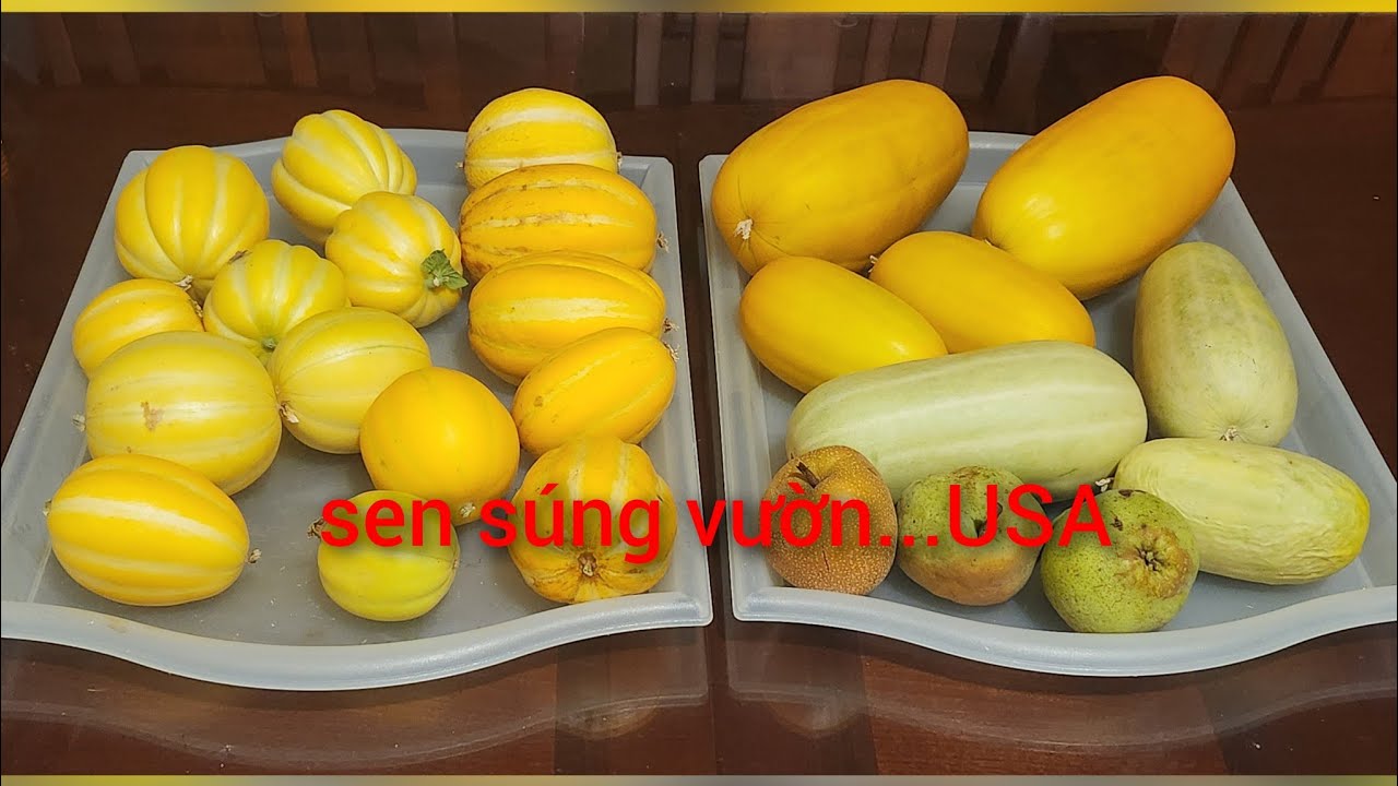 8_26 VEGETABLE IN MY GARDEN . chiều cuối tuần của tôi - YouTube