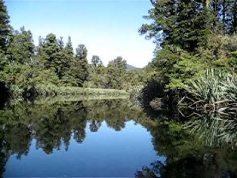 Paringa, Lake, Westland, Trout & Salmon Fishing