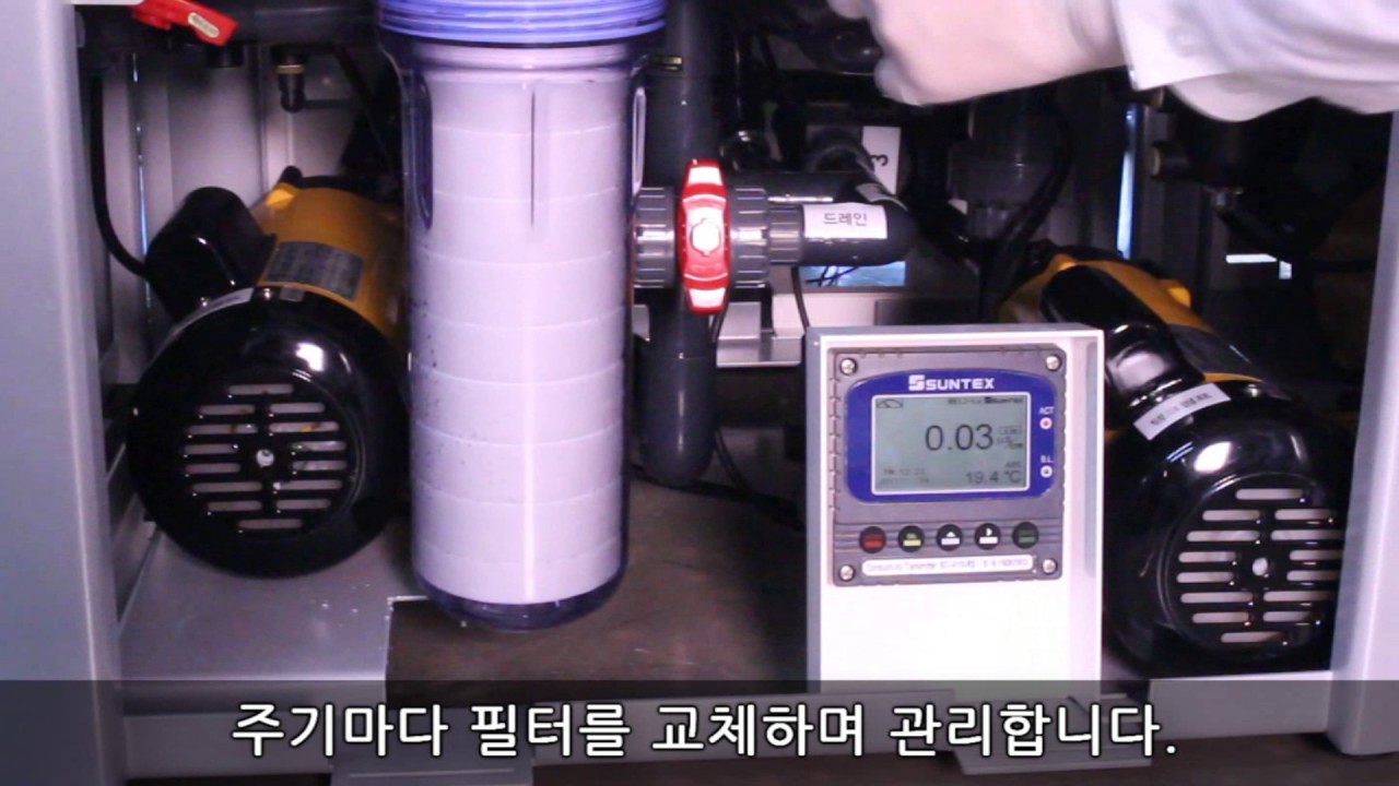 DMS 200 Video 4 minutes - YouTube