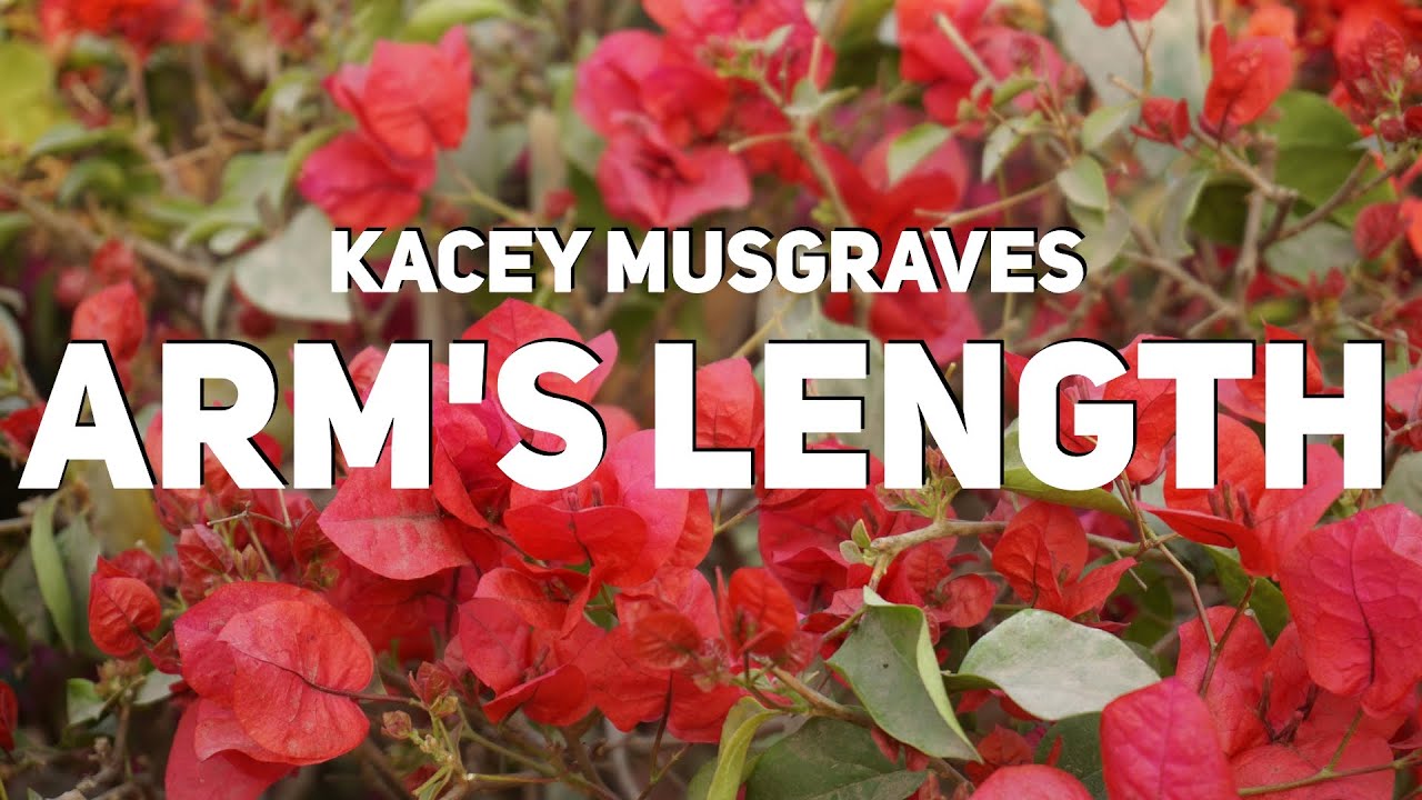 Kacey Musgraves Arm's Length (Lyrics) - YouTube