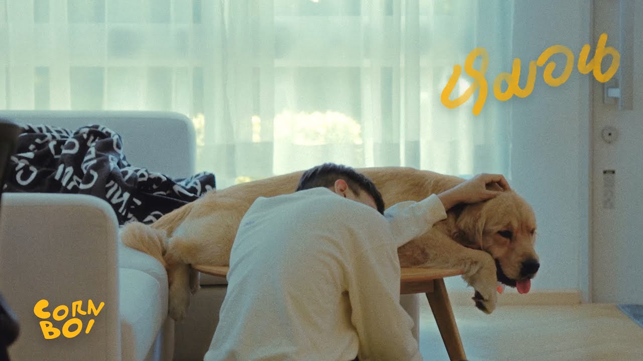 หมอน - CORNBOI【Official Teaser】 - YouTube