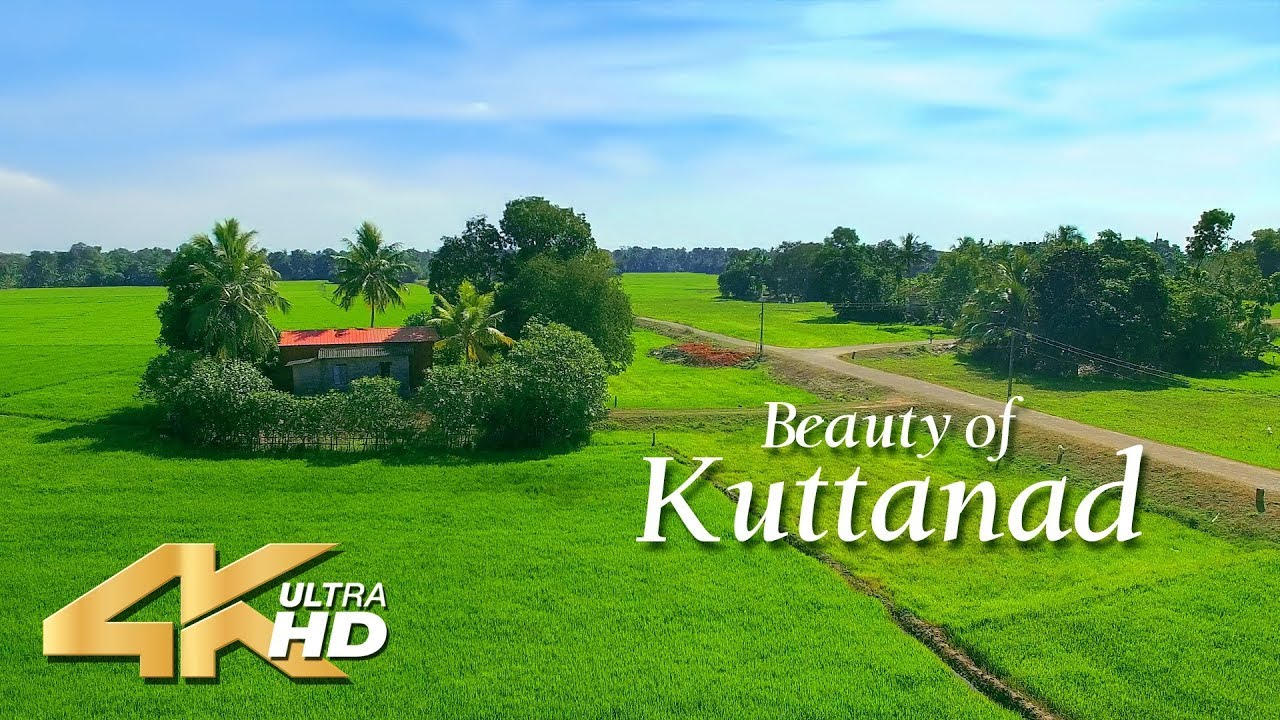 Beauty of Kuttanad - 4K Aerial view - YouTube