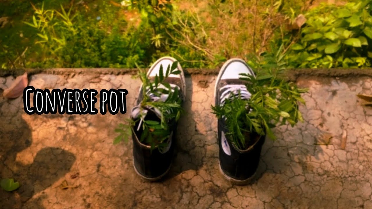 Shoe pot?| Converse vase| Upcycling| #6 - YouTube