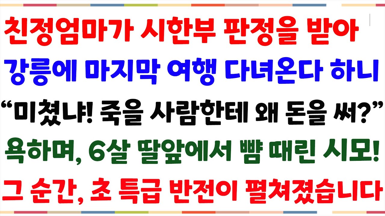 반전실화사연친정엄마가 시한부 판정 받아 강릉에 마지막 여행 다녀온다하니 집안일이나 하라는 시모거절하니 뺨을 감히 때리네요 참교육들어갑니다 신청사연 사이다썰 사연