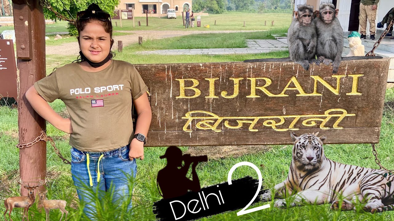 Jim Corbett National Park Vlog || Jungle Safari in Jim Corbett Bijrani ...