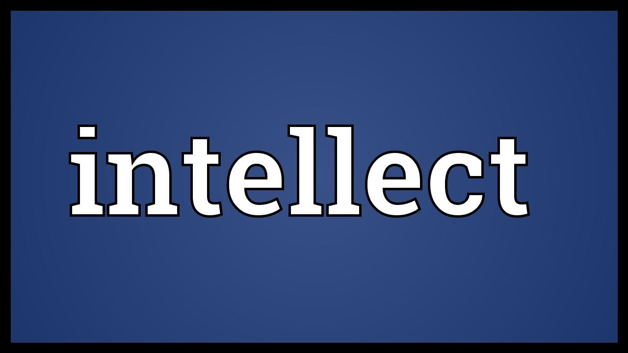 Intellect Meaning YouTube intellect-meaning-youtube
