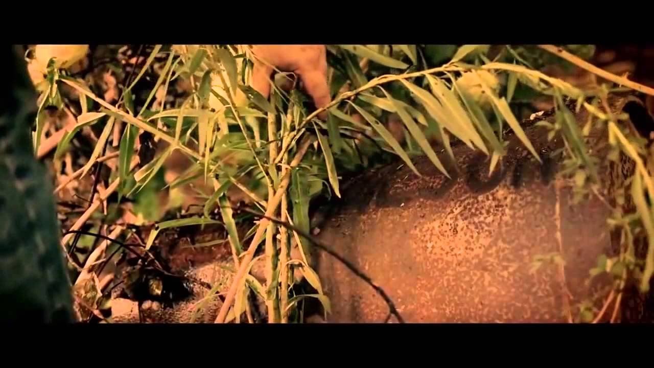 Charlie's Farm Official Trailer #1 (2014) - Australian Horror Movie HD ...
