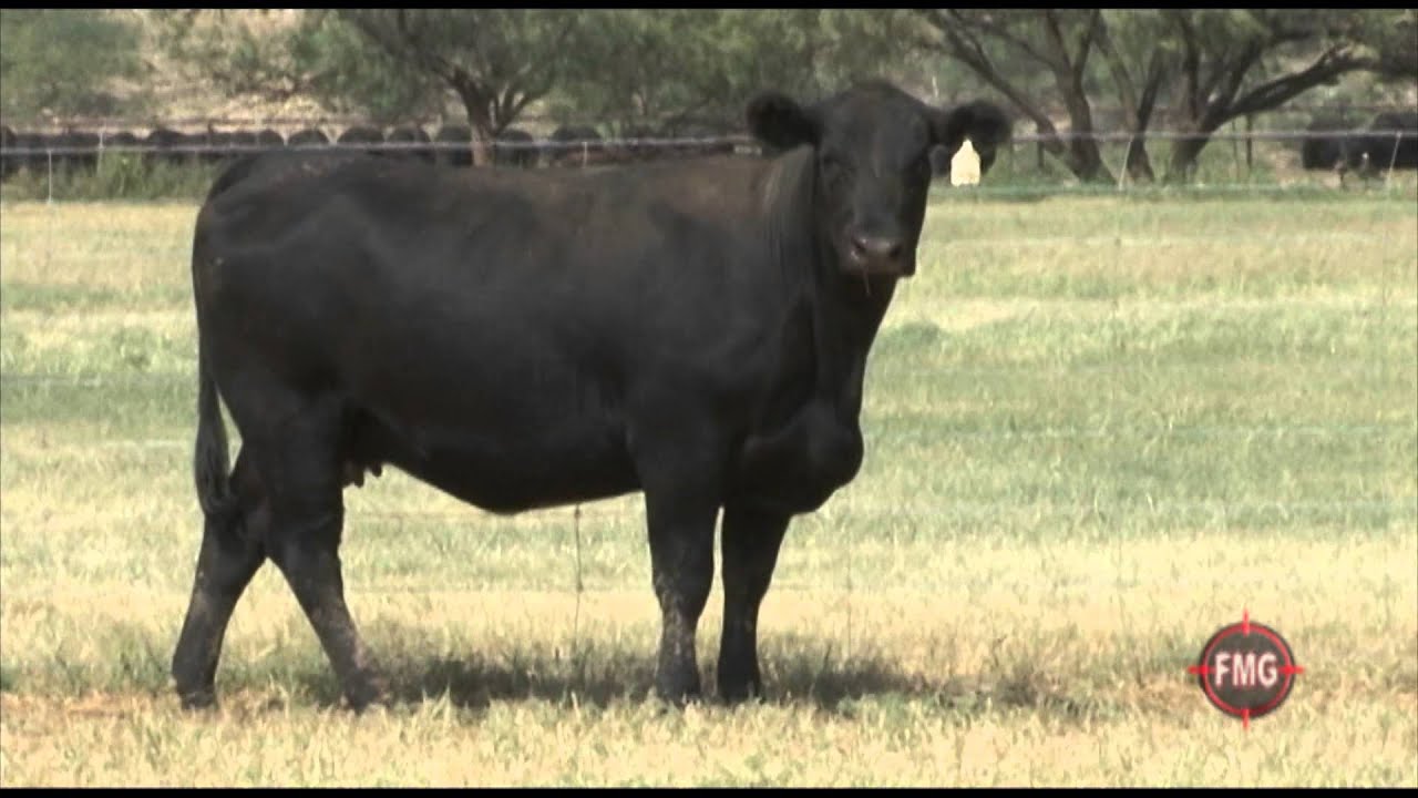 LOT 1724 RA Brown Ranch - YouTube