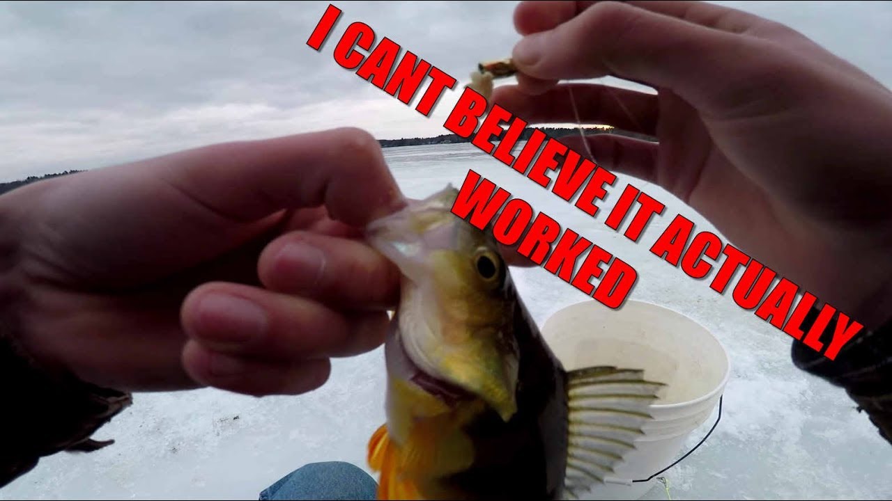 Catching Fish With a Bullet?!?! - YouTube