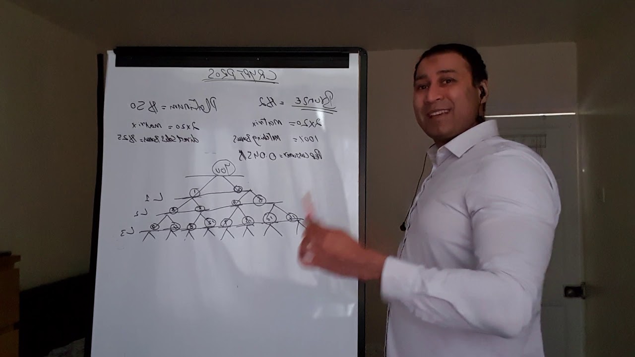 Crypto Pros How Matrix Works By Zaidi Urdu hindi YouTube crypto-pros-how-matrix-works-by-zaidi-urdu-hindi-youtube
