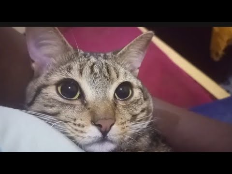 I'm now a humon,baby - YouTube