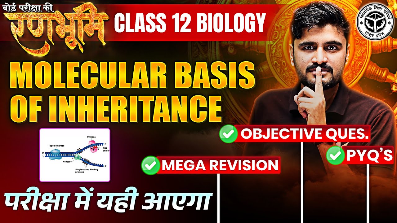 Class 12 Biology Molecular Basis of Inheritance Complete Revision |🔥 ...