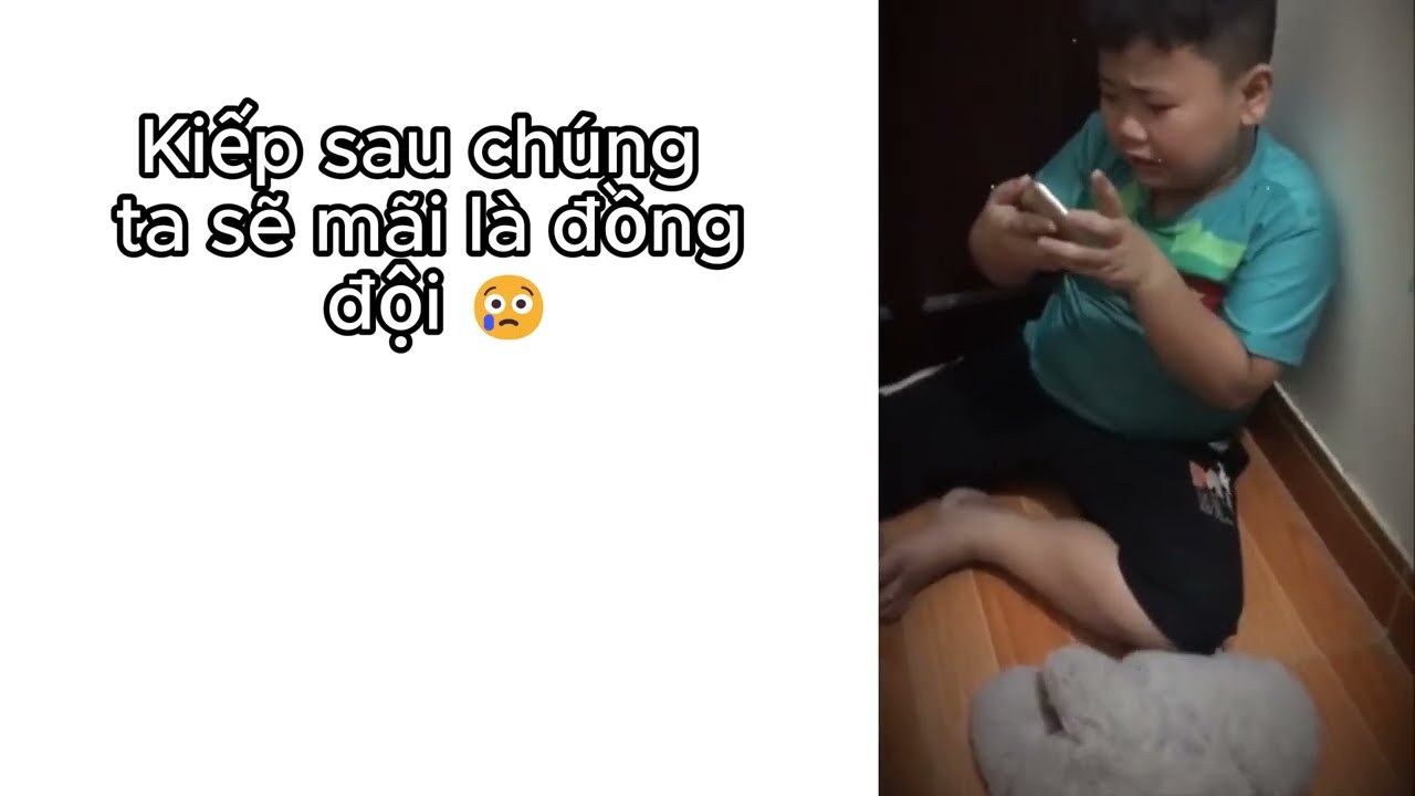Những chiếc meme không dark | Mèo sẽ làm meme | Tập 18 - YouTube