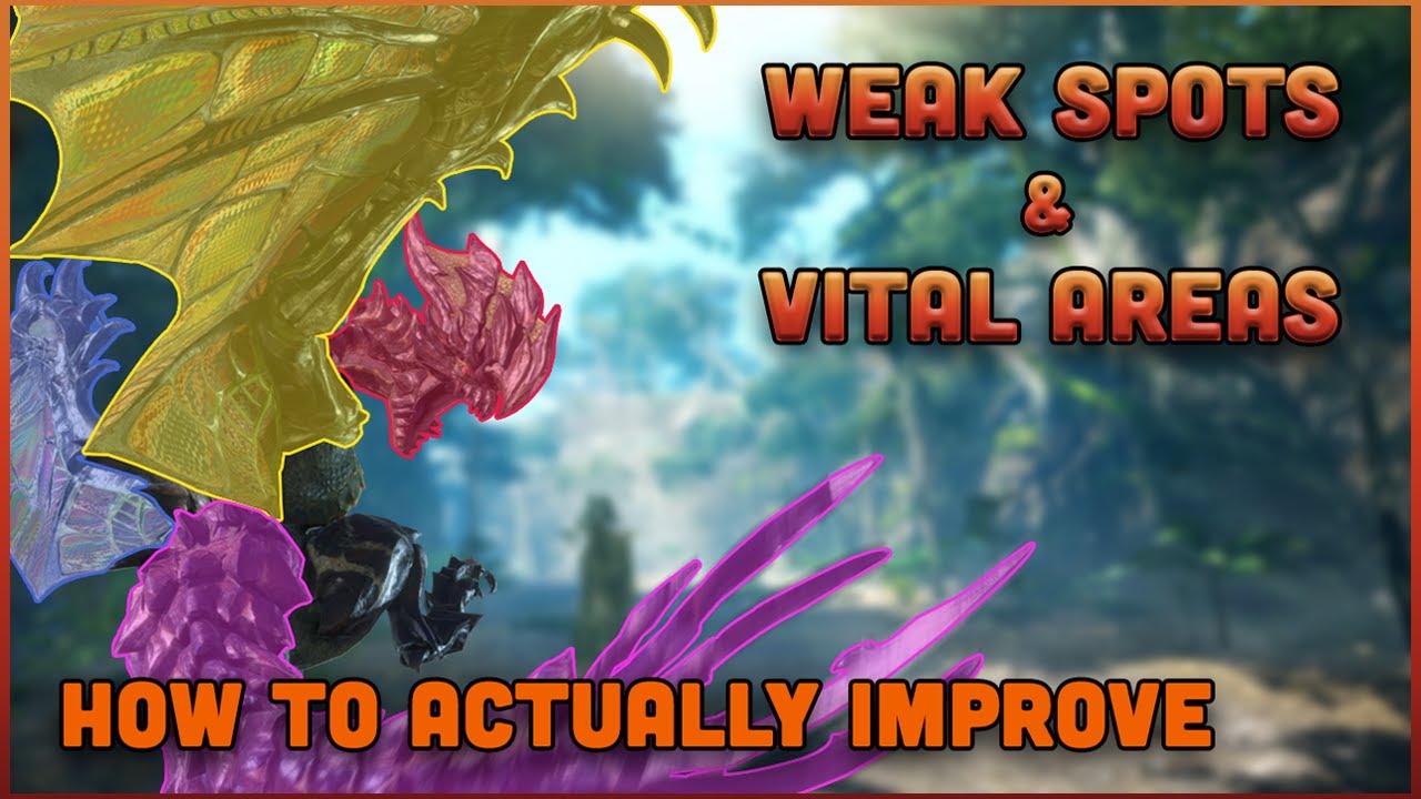 How to ACTUALLY Improve at Monster Hunter - Weak Spots & Vital Areas ...