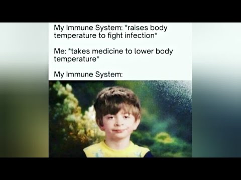 Hilarious Medical Memes | Meme Compilation - YouTube