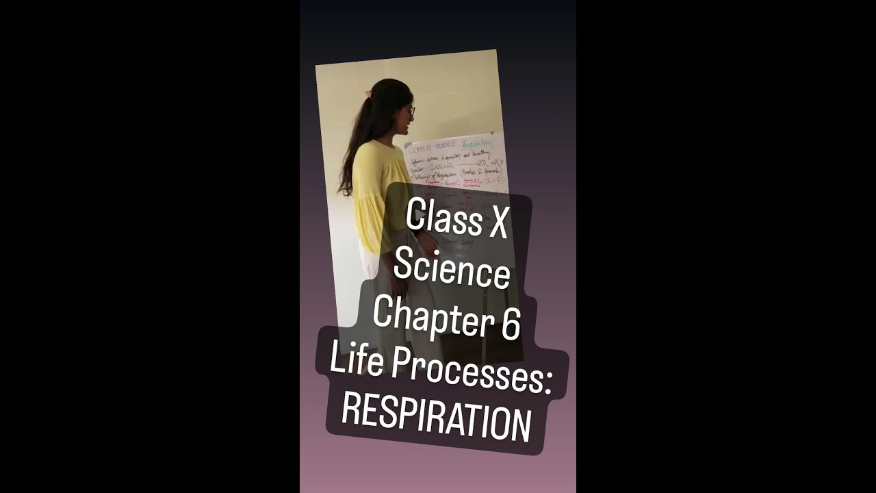 Class X Science Chapter 6 Life Processes (Respiration) - YouTube