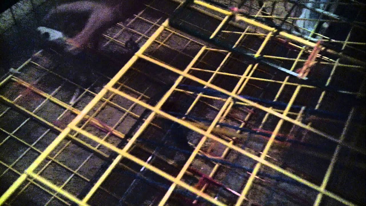 Homemade turtle trap - YouTube