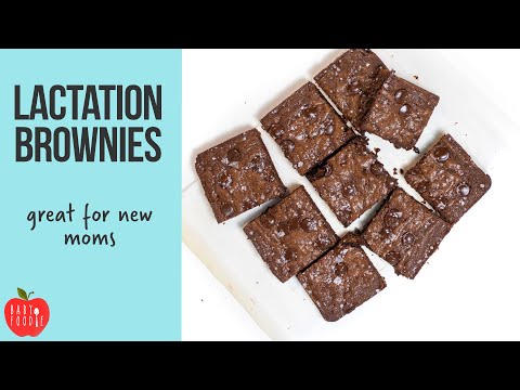 The Best Lactation Brownies