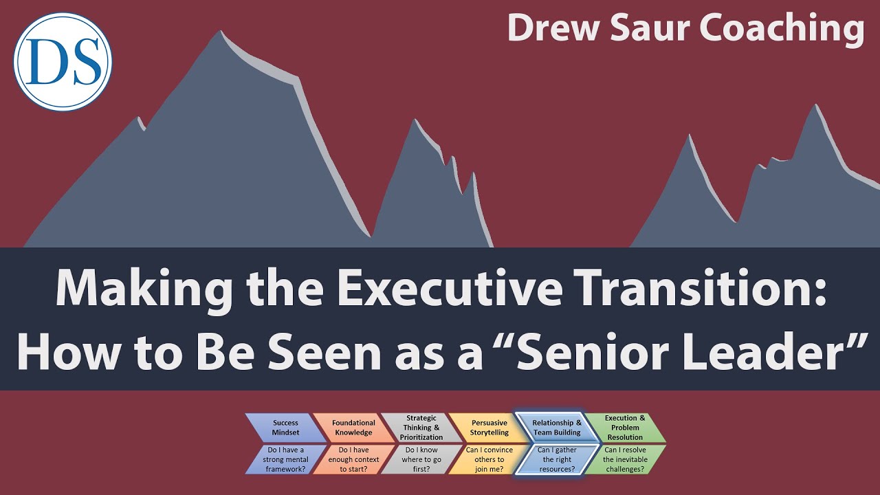 Making the Executive Transition: How to Be Seen as a “Senior Leader ...